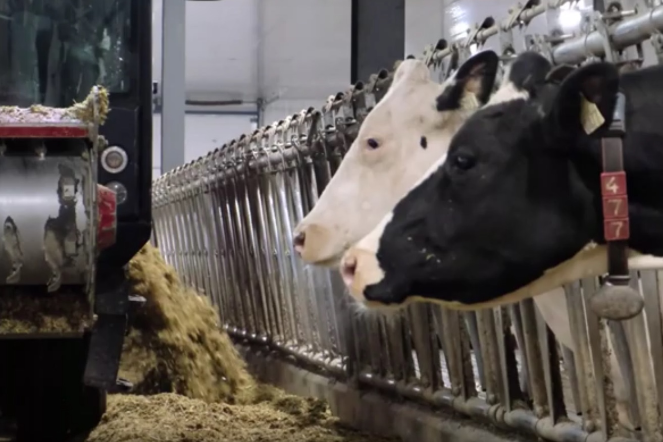 Agriculture – André Dumont videoreporter